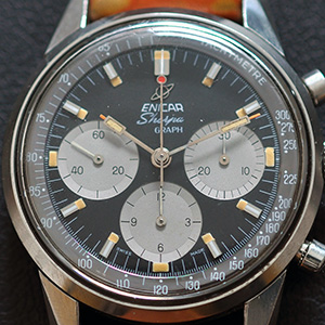 Sherpa Graph – Enicar 101
