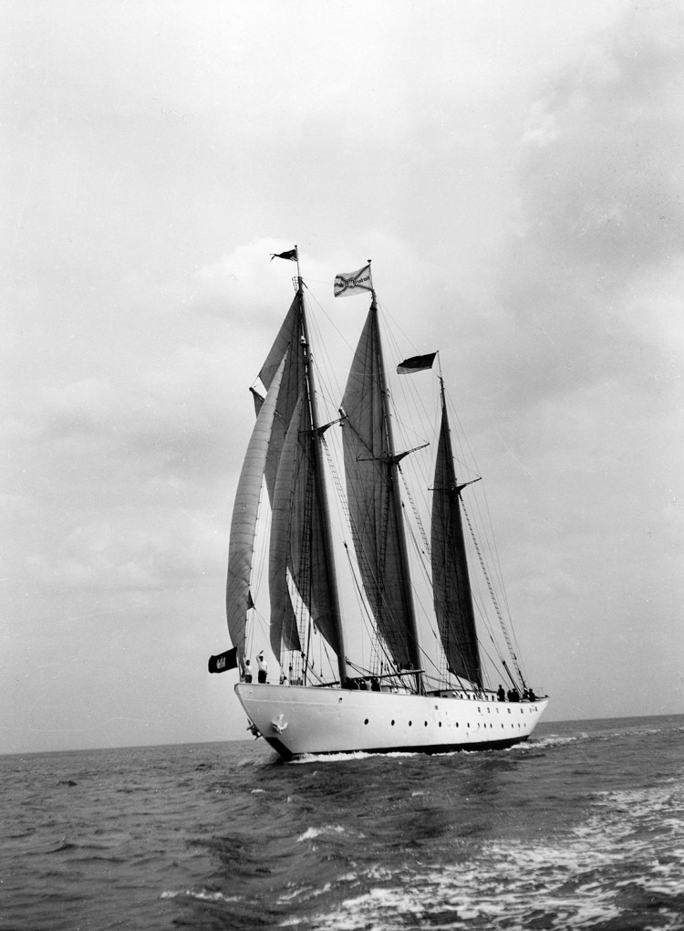 Update: Hans Hass’ Expedition Xarifa II and the Enicar Sherpa Dive Ref ...